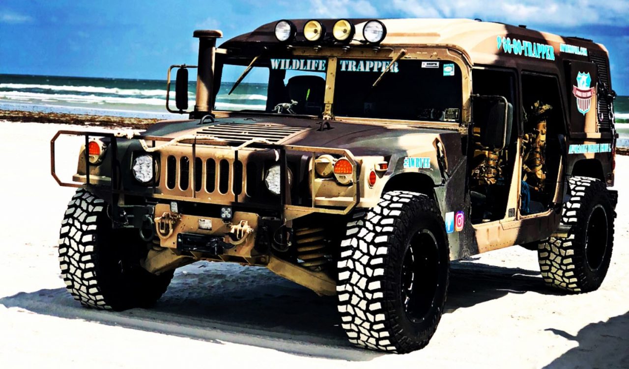 Wildlife Control & Exclusion Specialists - Affordable Wildlife Removal